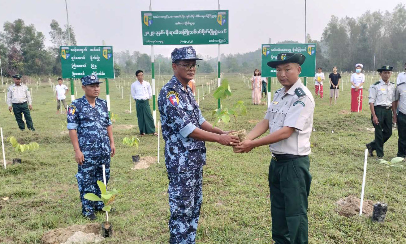 ရခိုင်ပြည်နယ် မောင်တောမြို့၌ မိုးရာသီအကြို စုပေါင်းသစ်ပင်စိုက်ပျိုးပွဲက